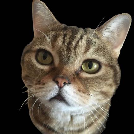 Иконка канала Yurka