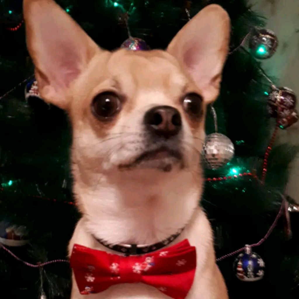 Иконка канала Oskar_Gold