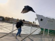 Иконка канала Уикенд