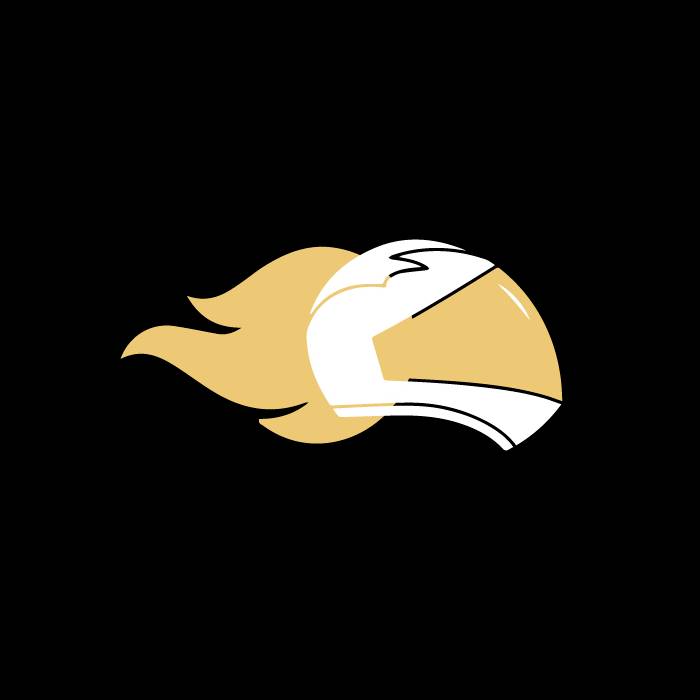 Иконка канала corpchamp.com