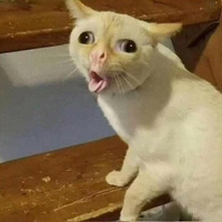 Иконка канала -ЪУЪ