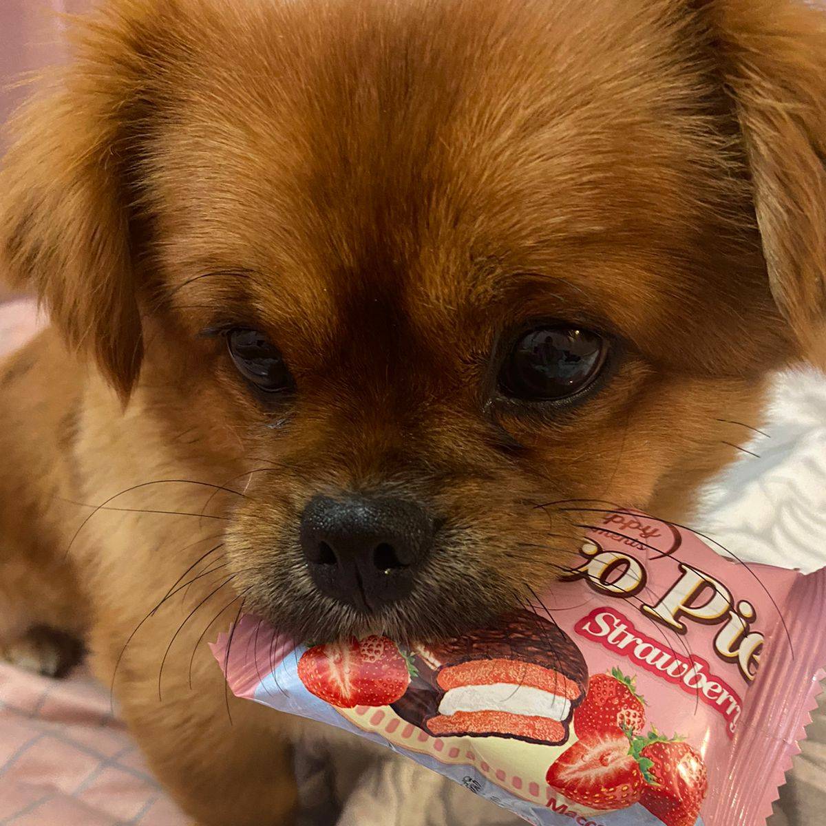 Иконка канала Nikolay