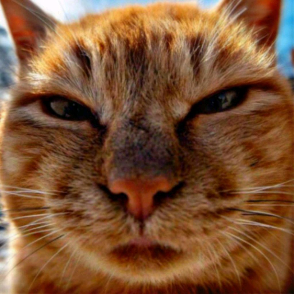 Иконка канала Просто РЖАКА ???