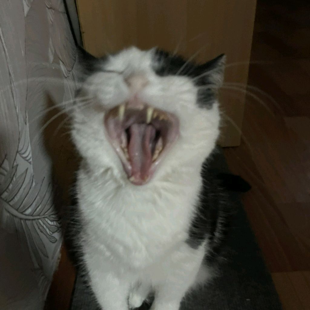 Иконка канала ❤️?БУМАЖНАЯ МЕЧТА?❤️