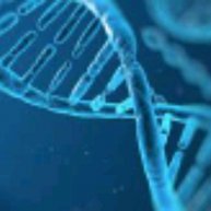 Иконка канала Riddle