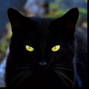 Иконка канала ALEXANDER SMIRNOFF