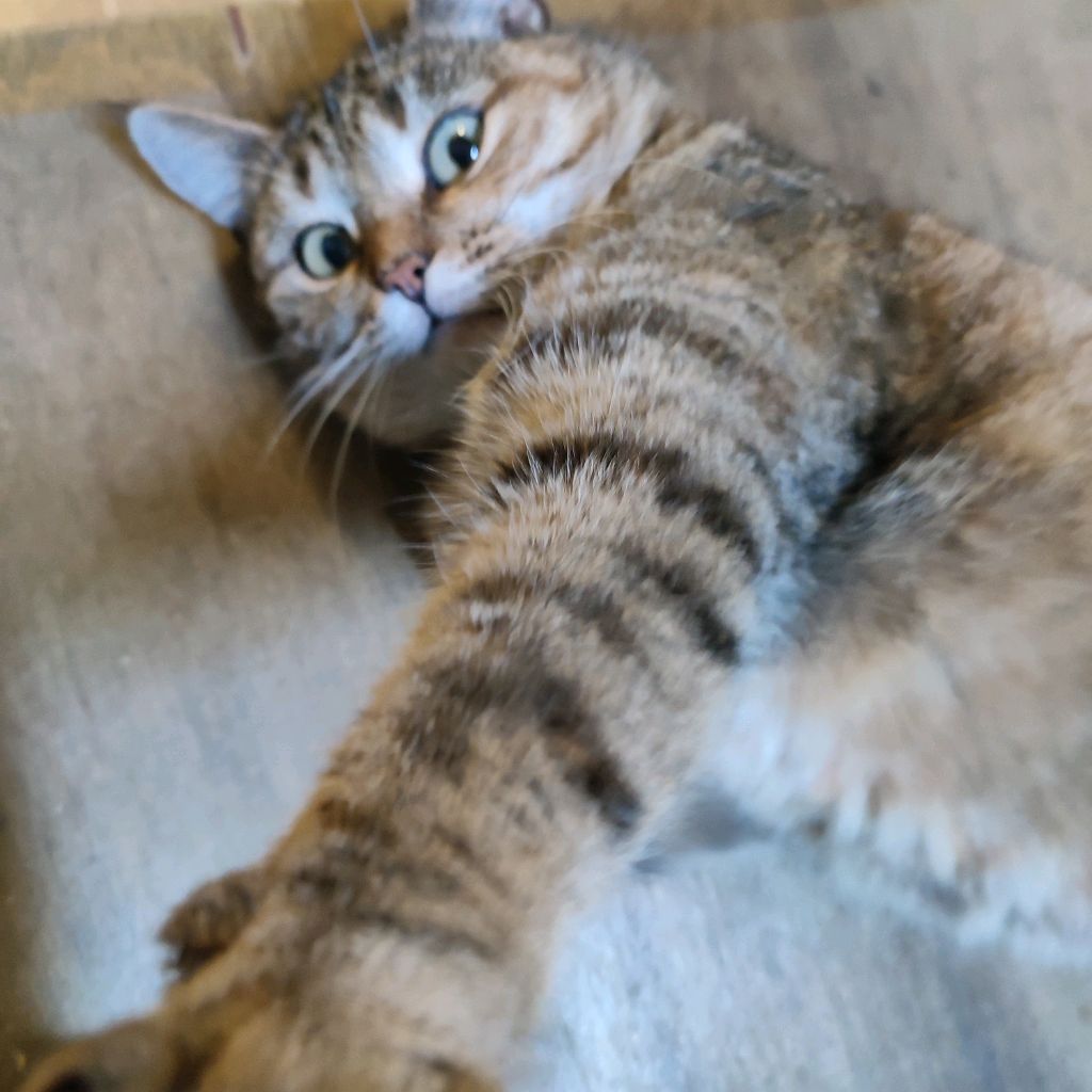 Иконка канала Что заметил)