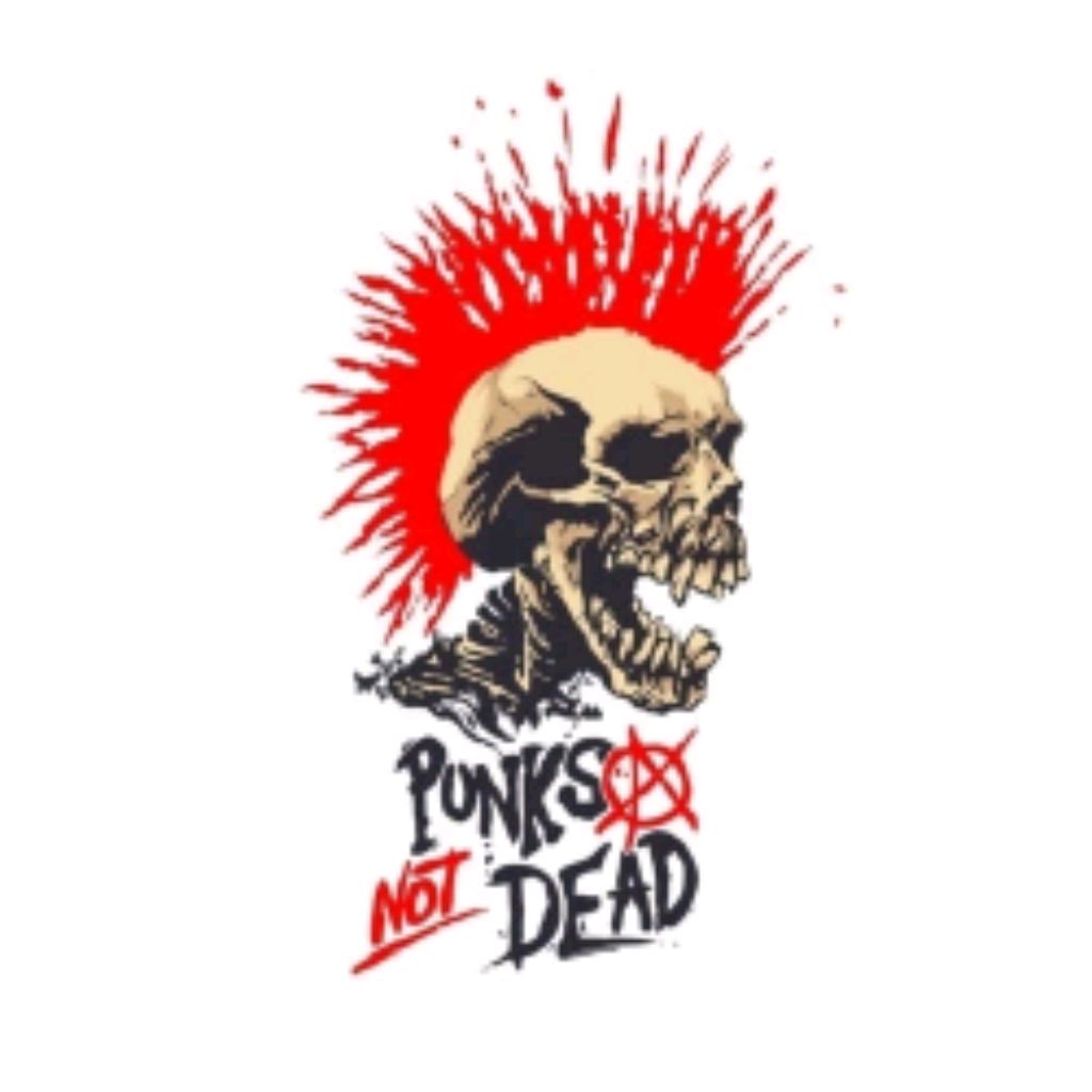 Иконка канала Punk's not Dead