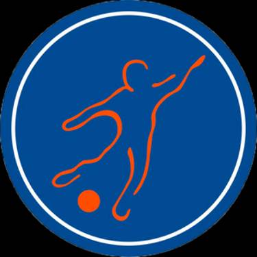 Иконка канала Академия футбольной подготовки "Мегасфера"