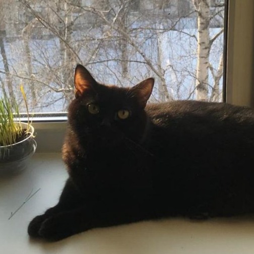 Иконка канала Уроки с Мэвис (Английский язык)