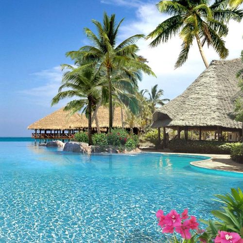 Иконка канала Растишки L?VE