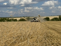 Иконка канала КФХ-Новая-Жизнь