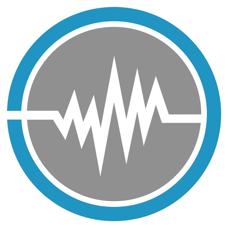 Иконка канала SeoPulses