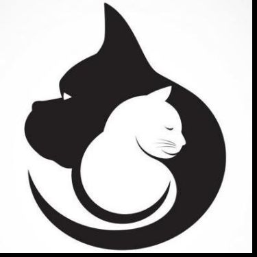 Иконка канала EASTLAND