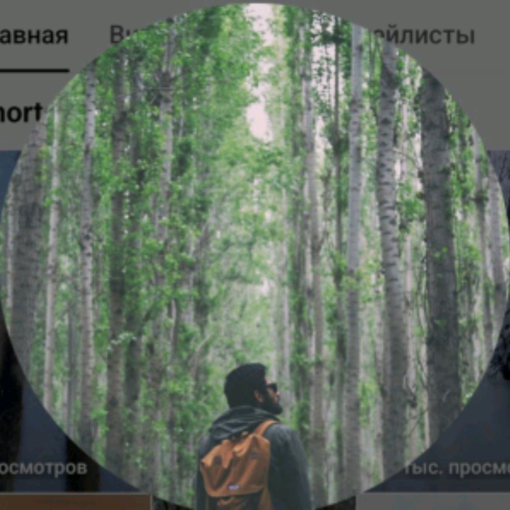 Иконка канала Свобода Леса