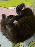 Иконка канала Телепузик