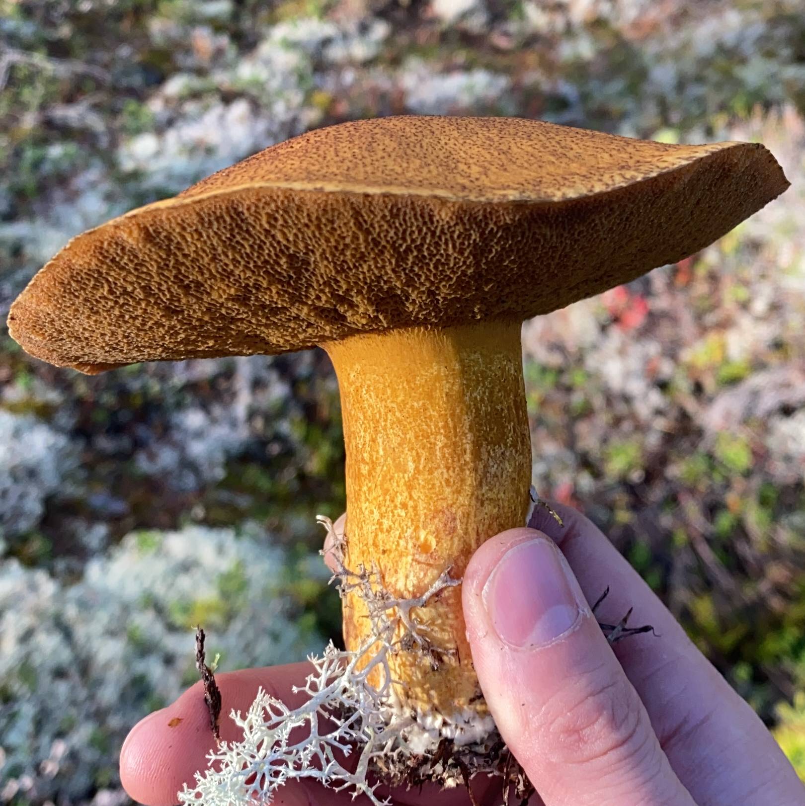 Иконка канала Канал Евгена