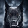 Иконка канала BaLaM