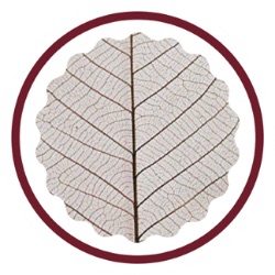 Иконка канала Sajva Group