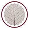 Иконка канала Sajva Group