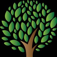 Иконка канала Павловния - от семечки до плантации