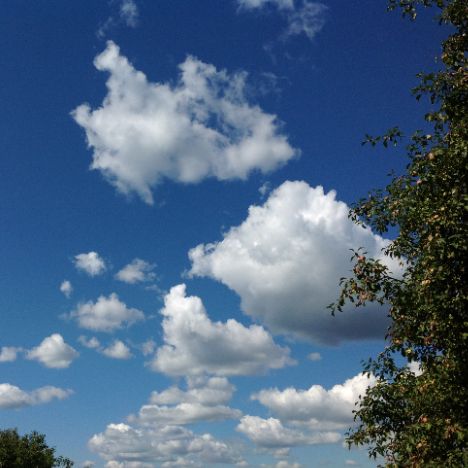 Иконка канала Sa-Shik.