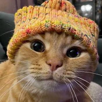 Иконка канала КОТИКИ и не только