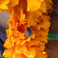 Иконка канала Наталья