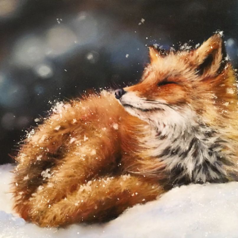 Иконка канала Fox🦊