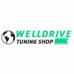 Иконка канала WELLDRIVE