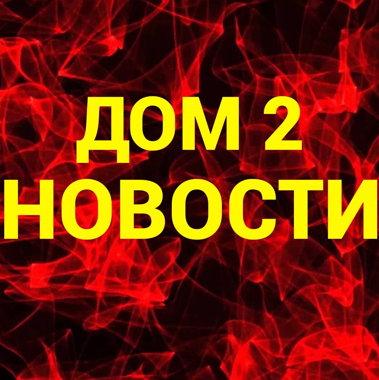 Иконка канала ДОМ 2 НОВОСТИ