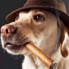 Иконка канала channel38317345