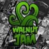 Иконка канала Walnut Jam