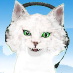 Иконка канала я котимяу