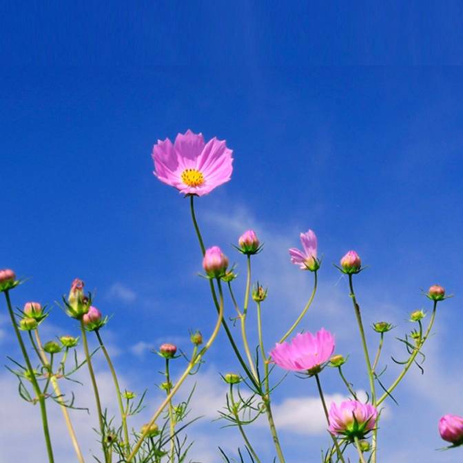 Иконка канала Irina Poisk