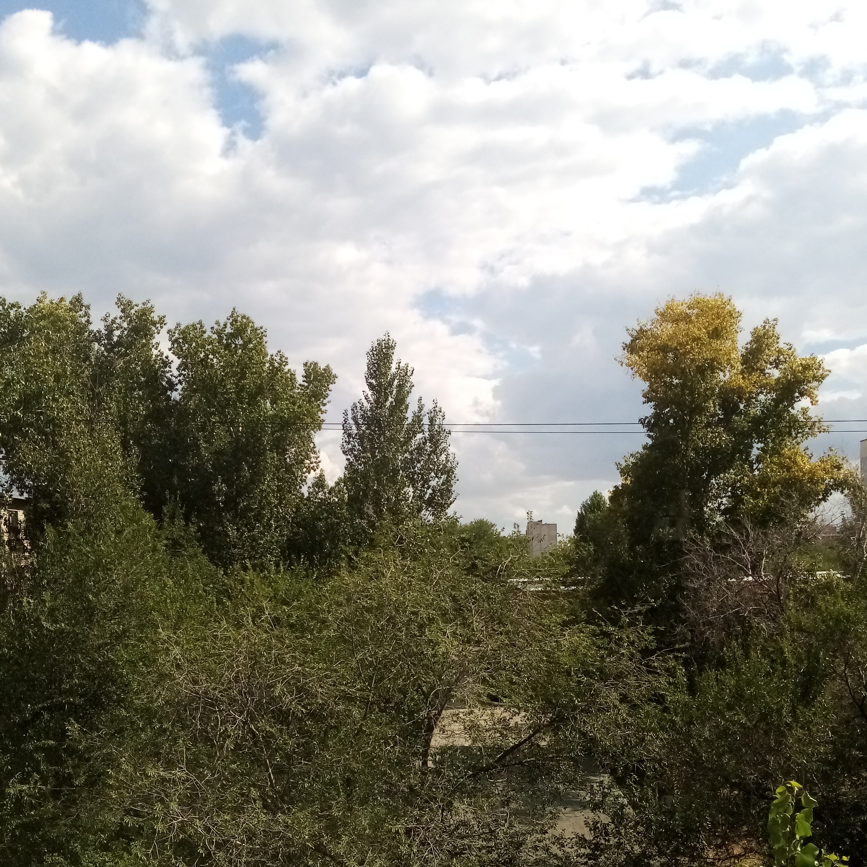 Иконка канала Анатолий Д - всё обо всём!