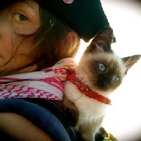 Иконка канала Le relayeur - Piraterie à Roulettes