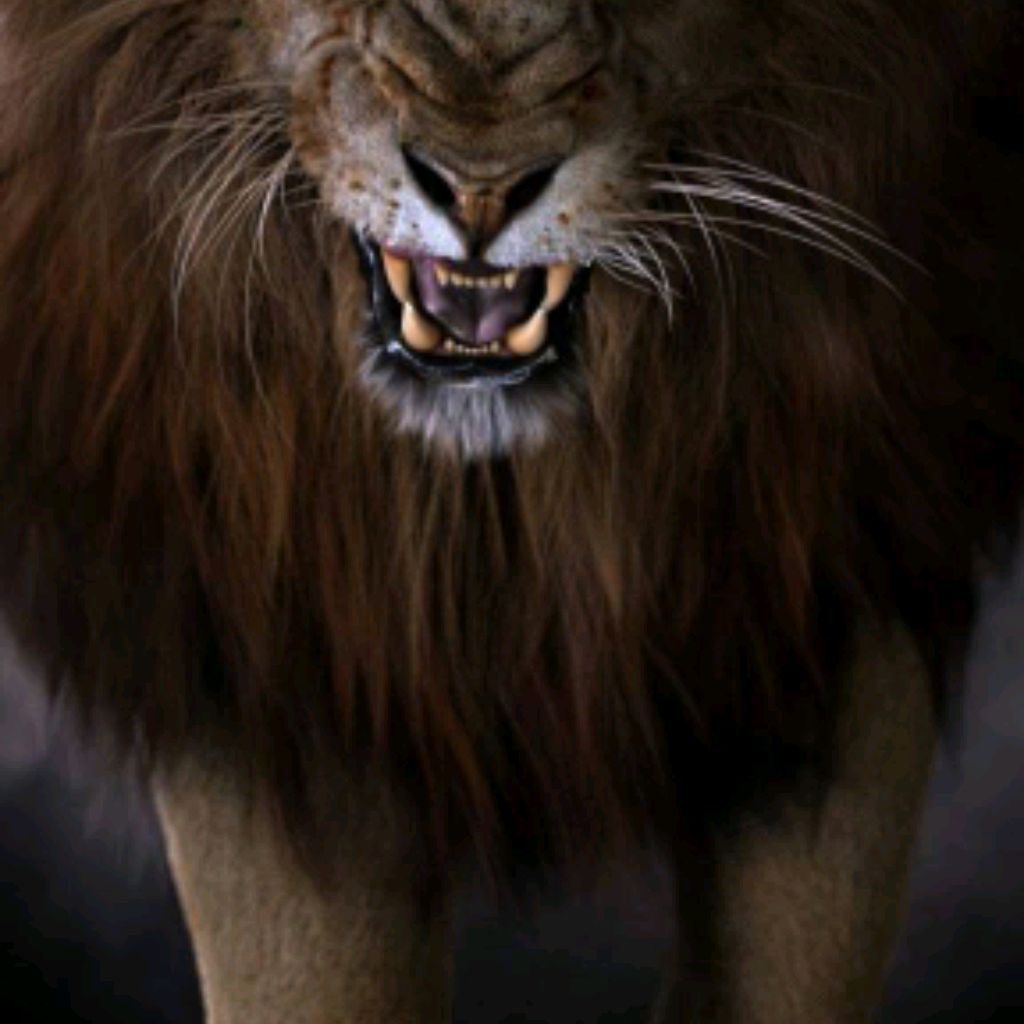 Иконка канала СКАТИК64.