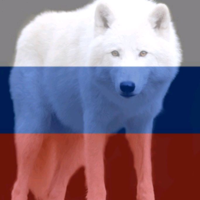 Иконка канала Алёна Памяти Моего Кумира Аркадия Кобякова 🙏