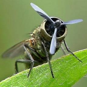 Иконка канала Турбомух