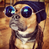 Иконка канала Юморист TV.