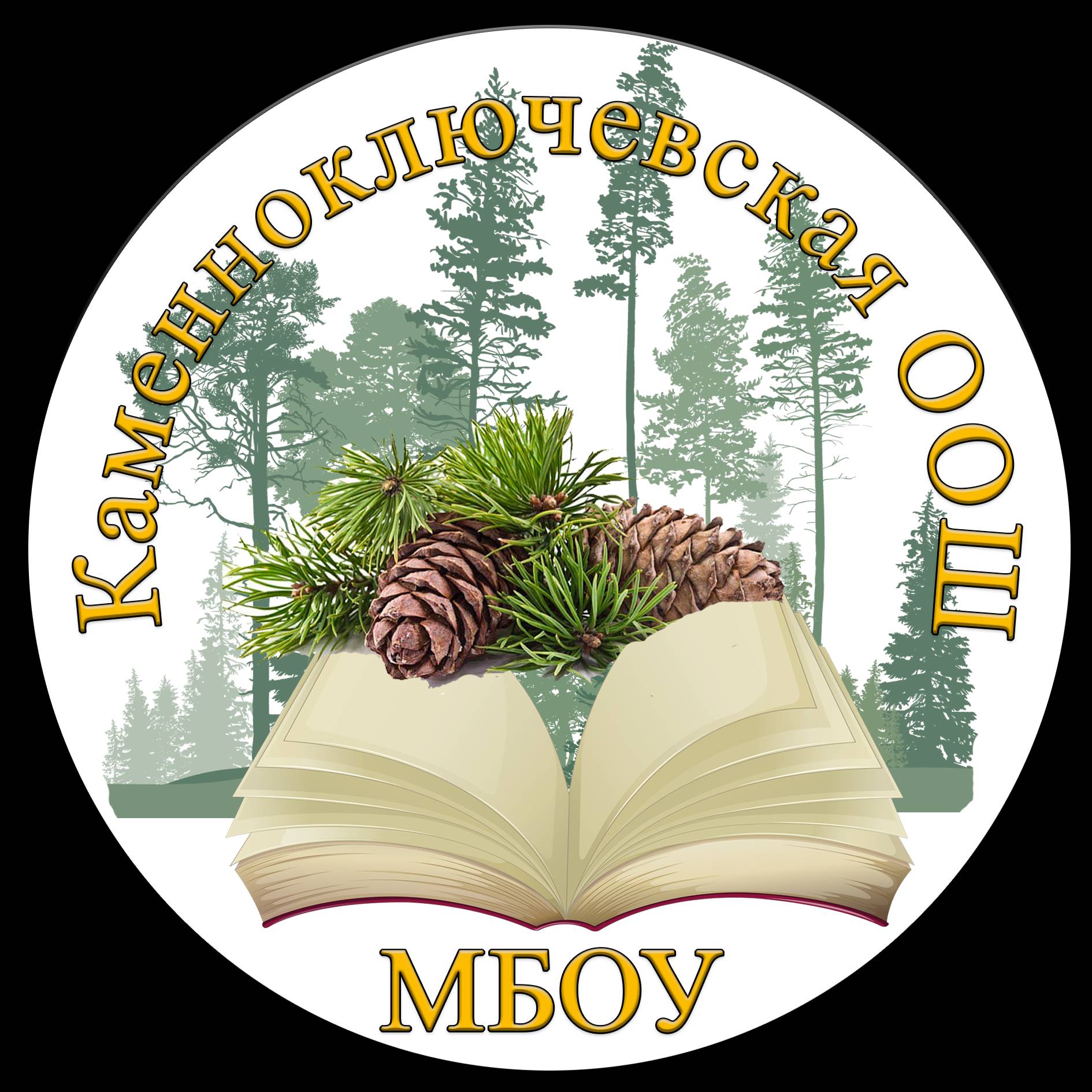 Иконка канала Каменноключевская ООШ