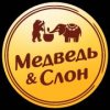 Иконка канала Медведь и Слон