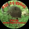Иконка канала Коп по войне  Diggers War
