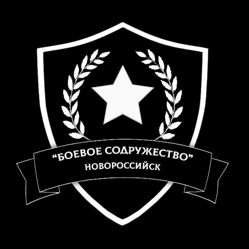 Иконка канала Боевое Содружество