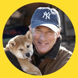 Иконка канала Драмы и мелодрамы 2024 | KINODRAMA