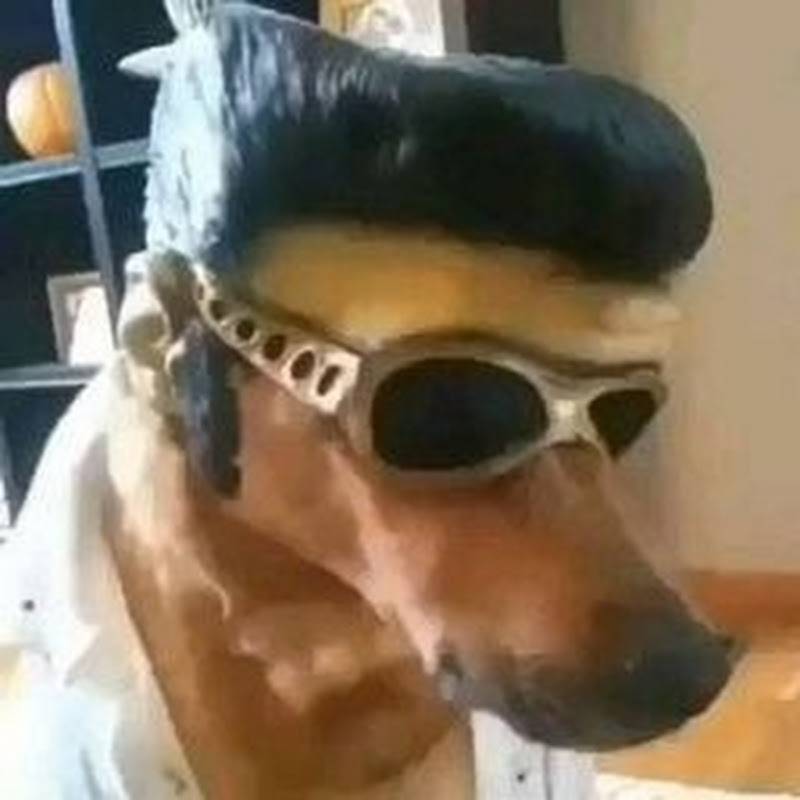 Иконка канала Кемный Манальчик)