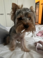 Иконка канала Дукалисlife