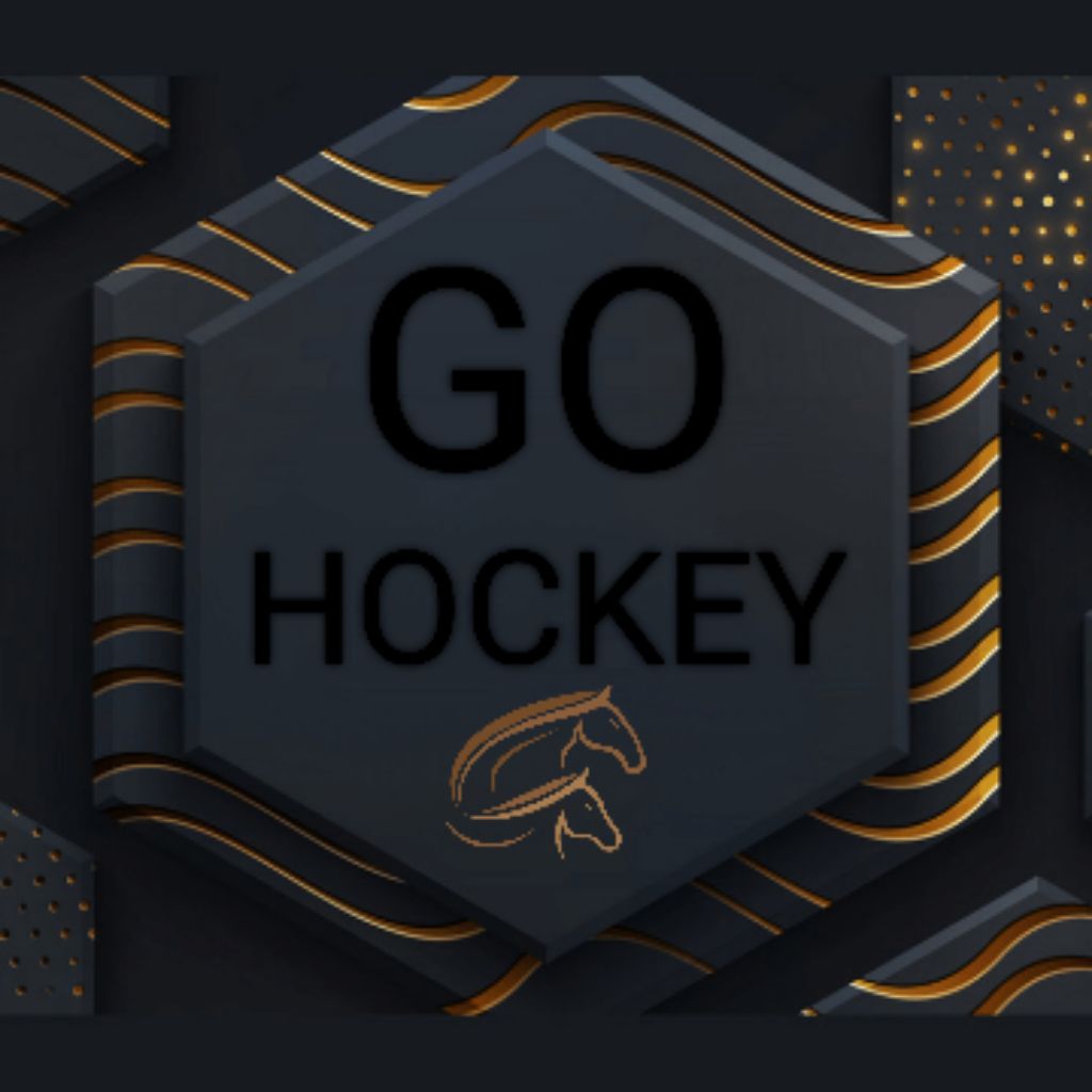 Иконка канала GO HOCKEY