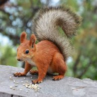 Иконка канала Наталия Товаченкова